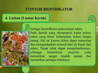 PPT bioindikator | PPTX