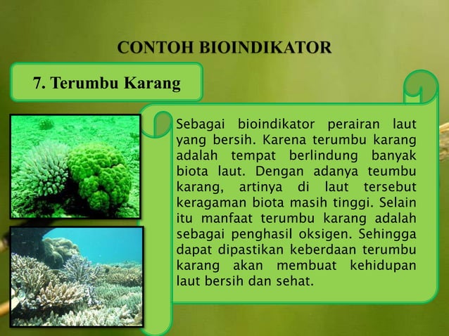 PPT bioindikator | PPT