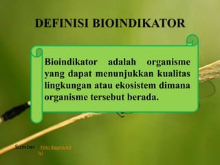 PPT bioindikator | PPTX