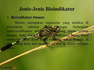 PPT bioindikator | PPTX