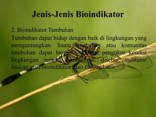 PPT bioindikator | PPTX