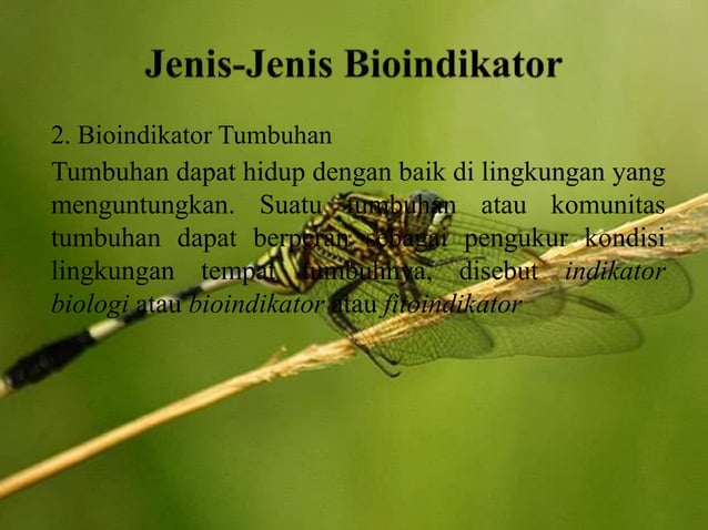 PPT bioindikator | PPTX