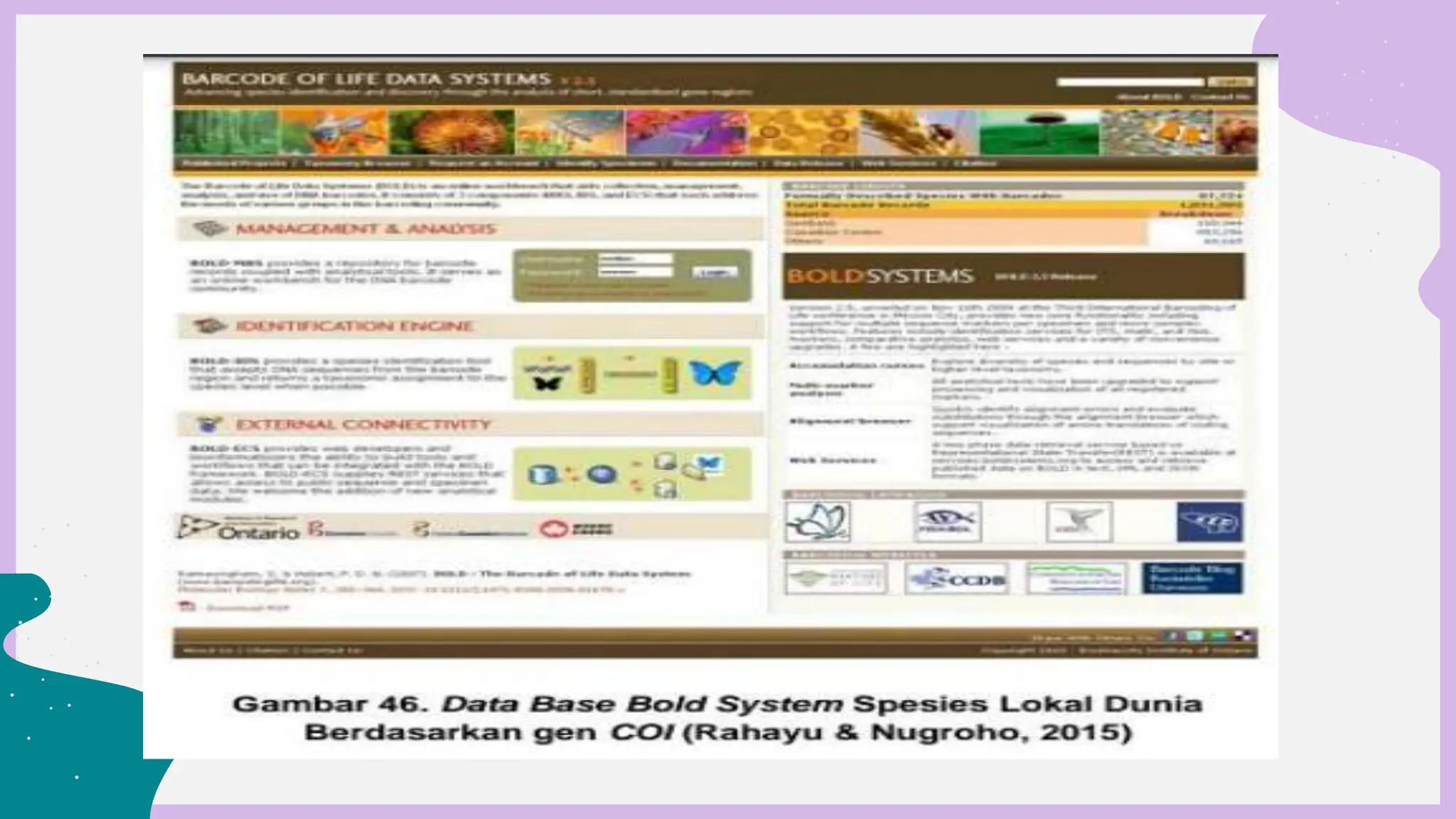 bioinformatika (bioteknologi) pendidikan bio | PPTX