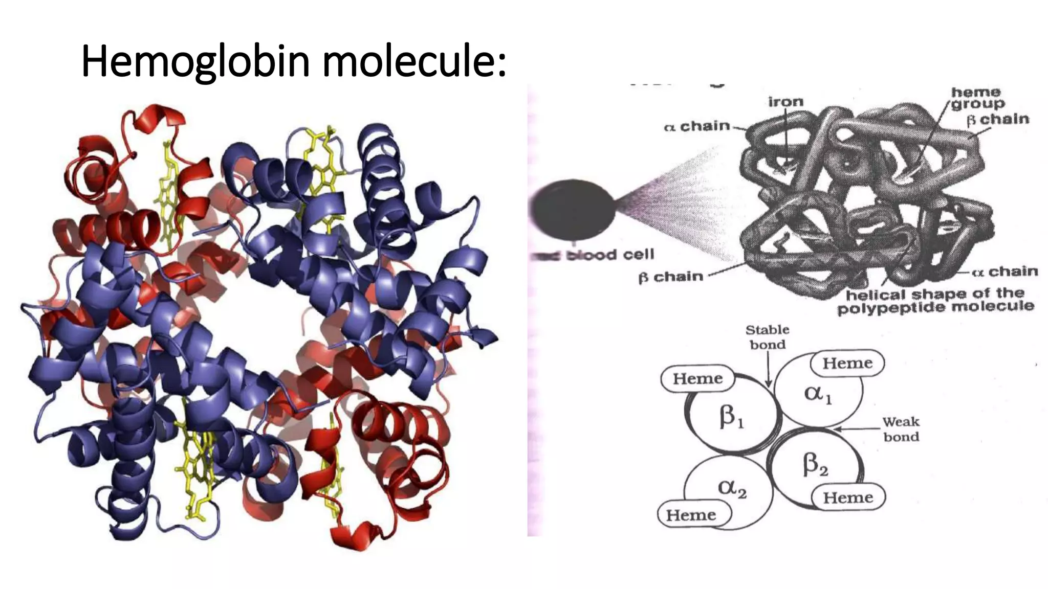 Ppt bioinorganic chemistry by dr.seema pattanshetti | PPT
