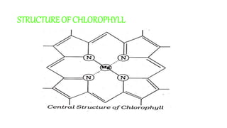 Ppt bioinorganic chemistry by dr.seema pattanshetti | PPT