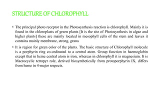 Ppt bioinorganic chemistry by dr.seema pattanshetti | PPT