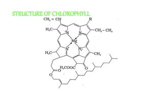 Ppt bioinorganic chemistry by dr.seema pattanshetti | PPT