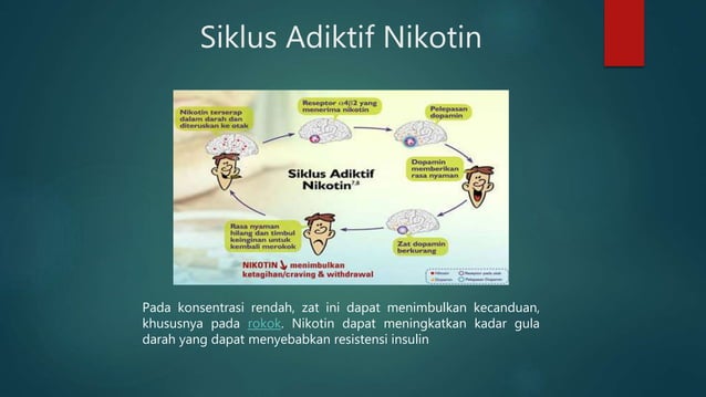 Pengaruh Nikotin dalam Rokok terhadap Gula Darah | PPTX