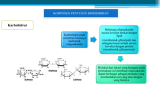 Ppt biokimia i_biomembran_ | PPTX