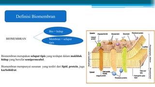 Ppt biokimia i_(biomembran)[1] | PPTX