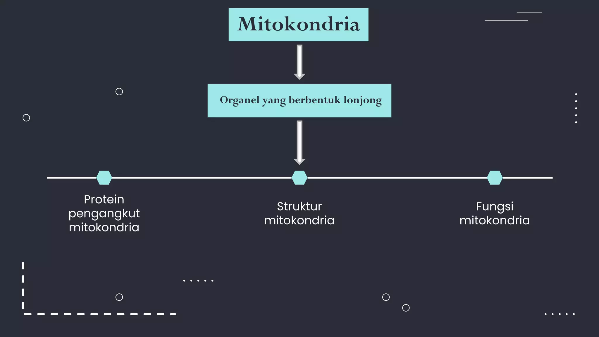 PPT Biokimia Kel. 5.pptx