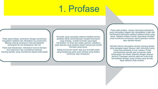 Proses terjadinya mitosis pada sel hewan | PPTX