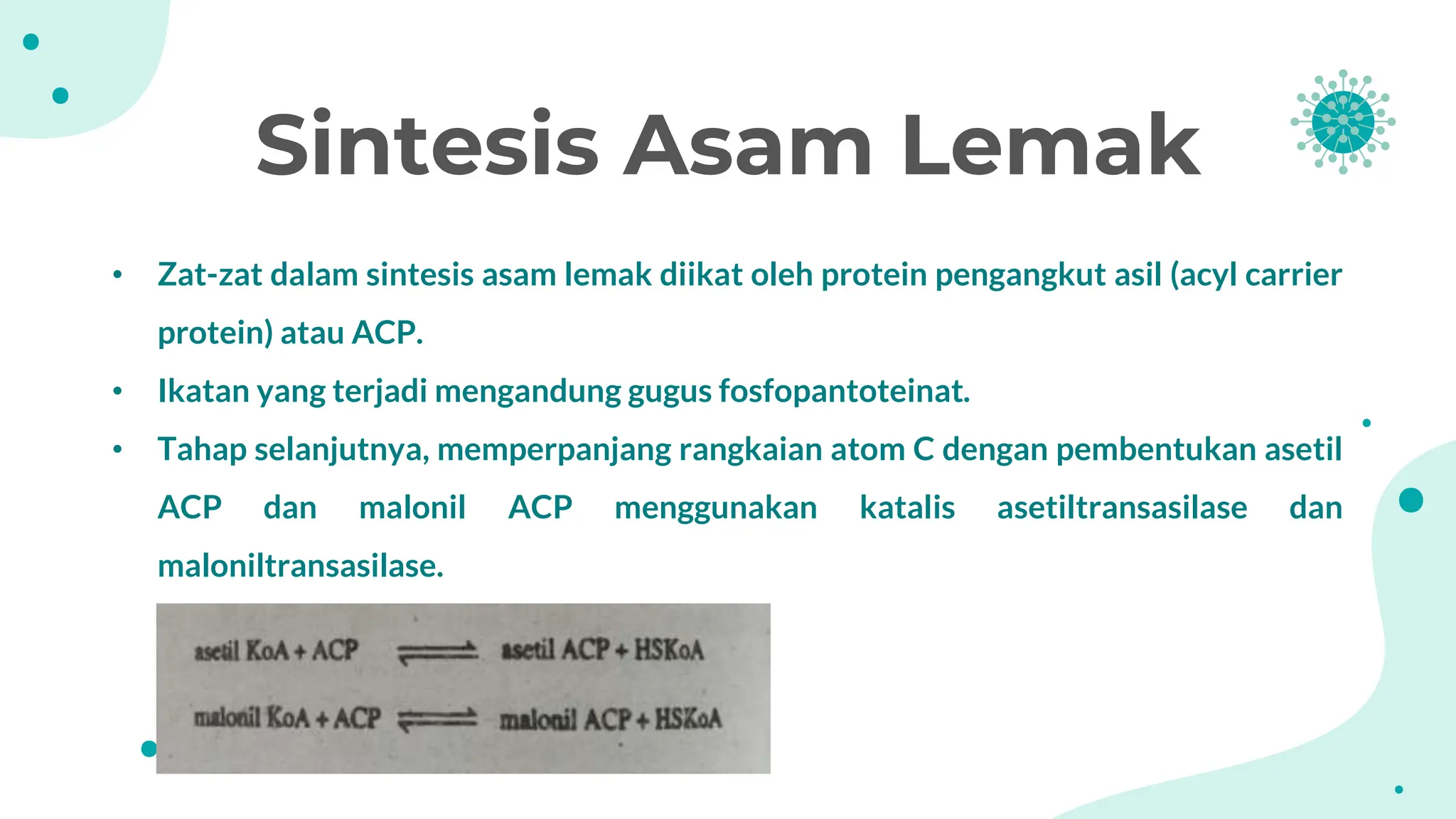 Metabolisme Lipid biokimia semester 5 3.pptx