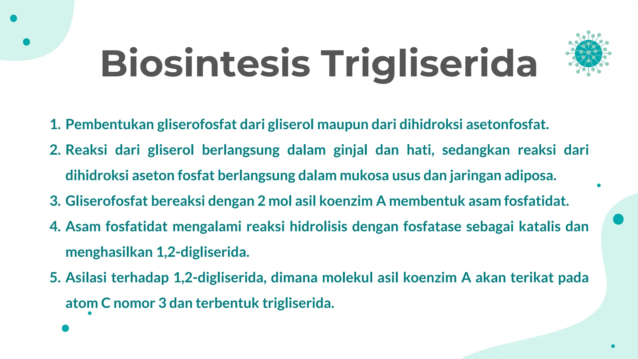 Metabolisme Lipid biokimia semester 5 3.pptx