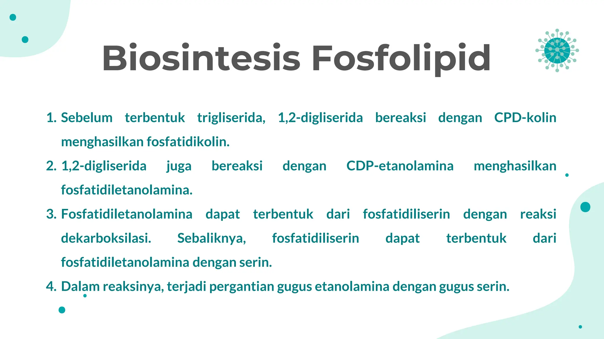 Metabolisme Lipid biokimia semester 5 3.pptx