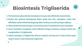 Metabolisme Lipid biokimia semester 5 3.pptx