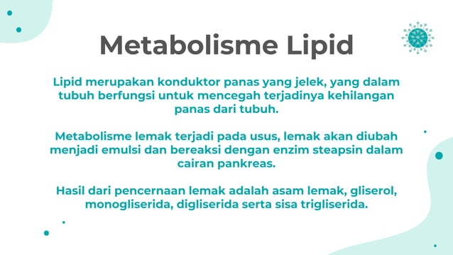 Metabolisme Lipid biokimia semester 5 3.pptx