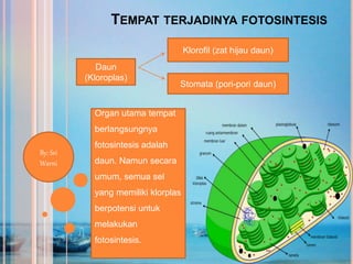 Ppt biologi | PPT