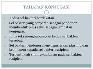 reproduksi bakteri kelas sepuluh | PPT