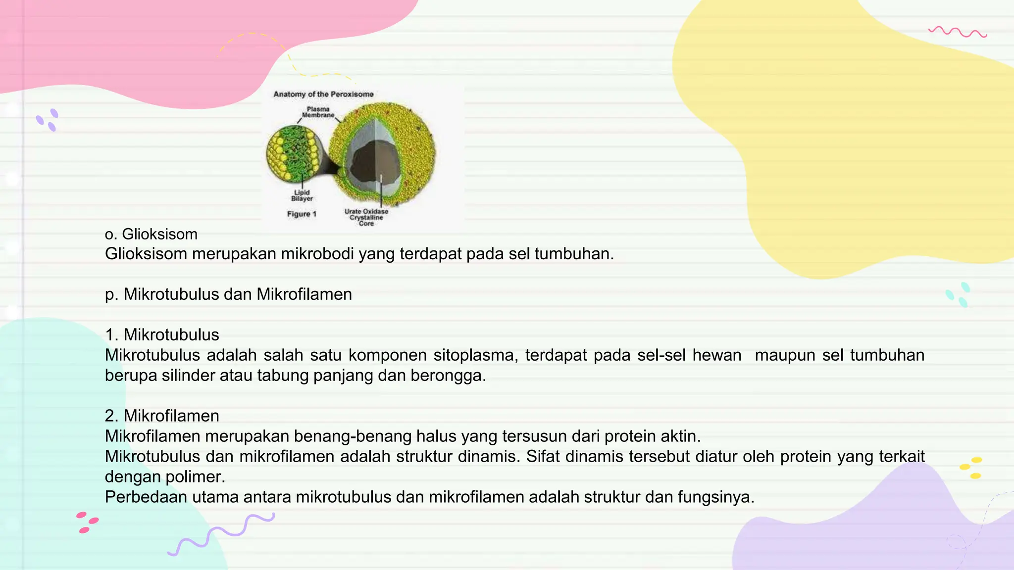 Ppt Biologi Pptx Pendidikan Matematika Semester 2 Ppt