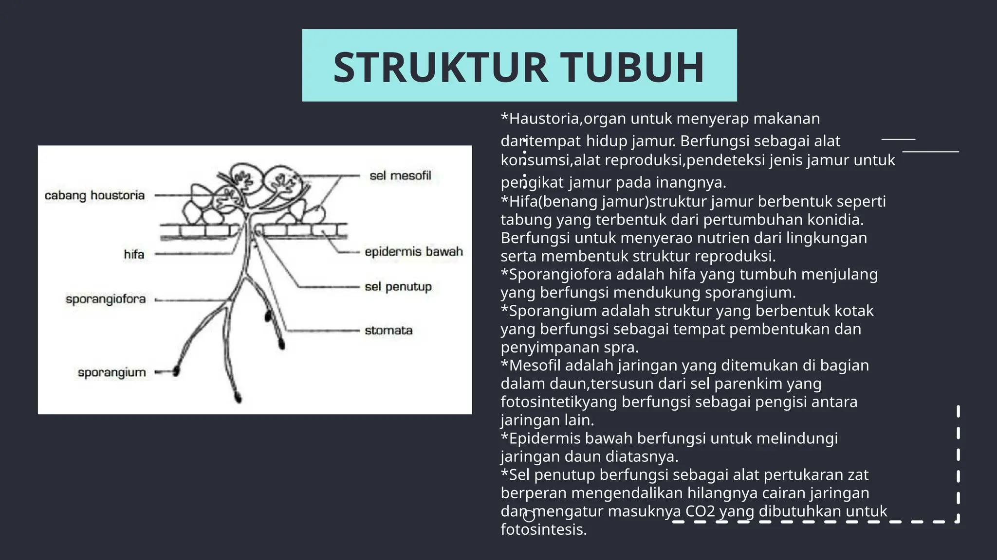 KLASIFIKASI FUNGI CHYTRIDIOMYCOTA X.pptx