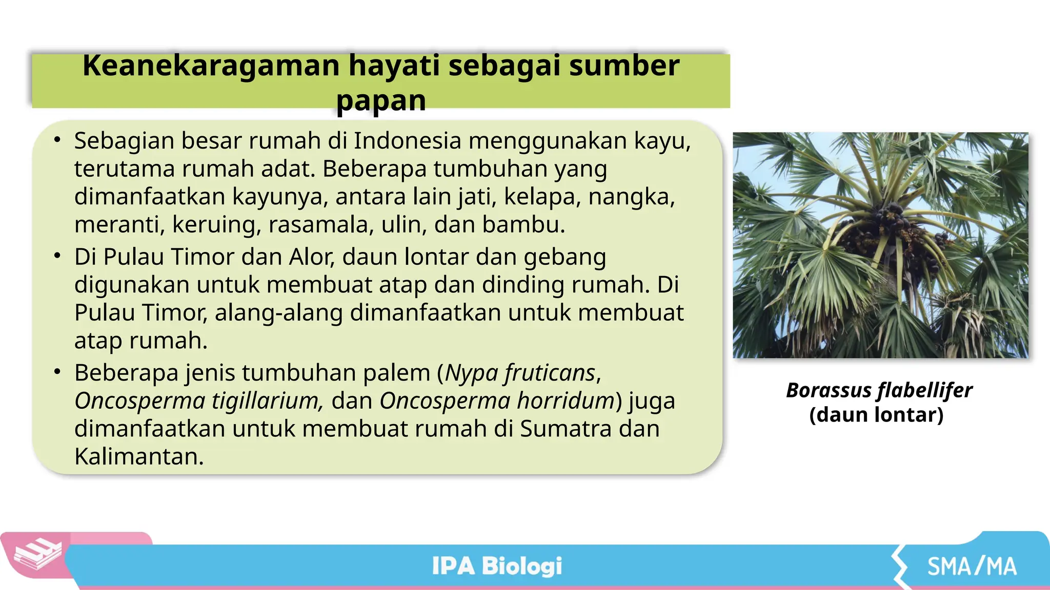 PPT BIOLOGI - KEANEKARAGAMAN HAYATI.pptx