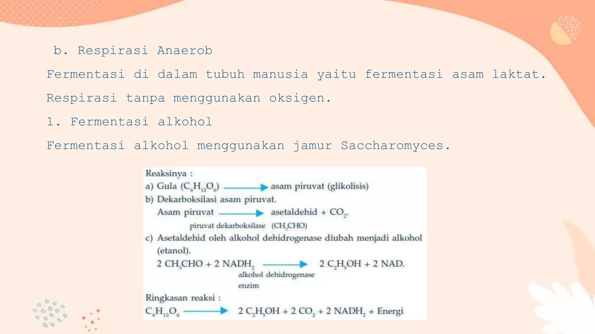 ppt biologi - pelepasan energi dalam sel [kel.4].pptx