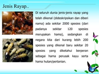 Ppt biologi rayap | PPTX