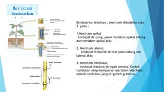 BIOLOGI M2KB2 | PPTX