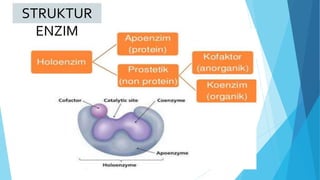 BIOLOGI PPT M2KB4 | PPTX