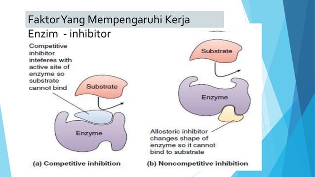 BIOLOGI PPT M2KB4 | PPTX