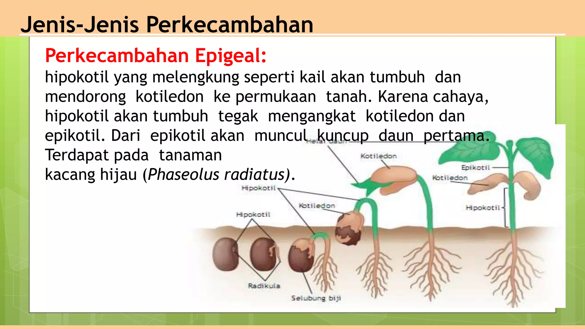 BIOLOGI PPT M3KB1 | PPT