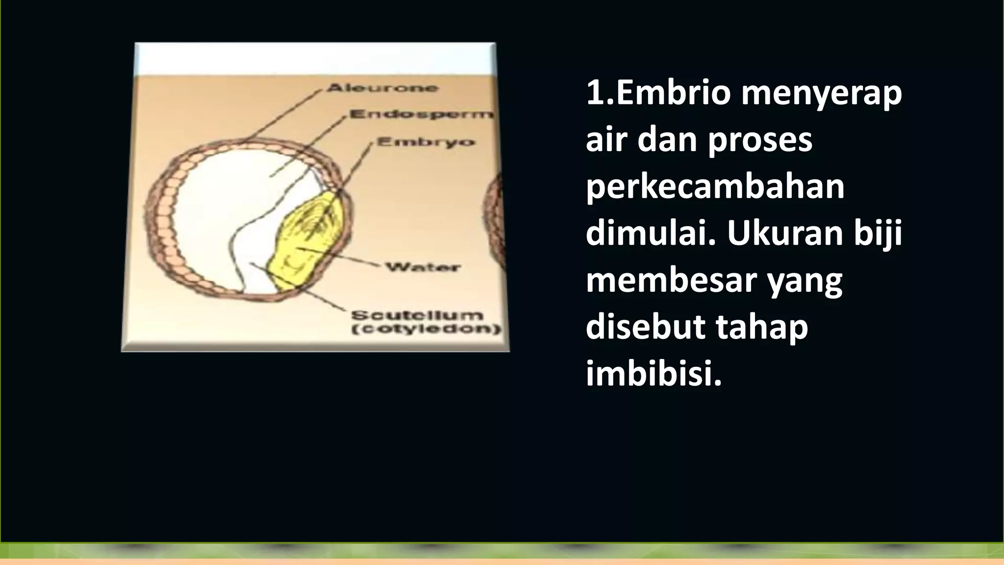 BIOLOGI PPT M3KB1 | PPT