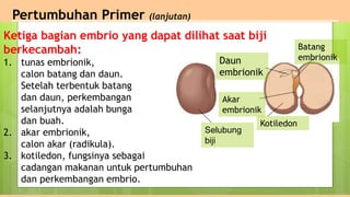 BIOLOGI PPT M3KB1 | PPT