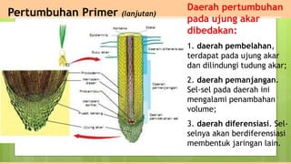 BIOLOGI PPT M3KB1 | PPT