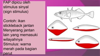 BIOLOGI_M3KB4 | PPT