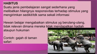 BIOLOGI_M3KB4 | PPTX