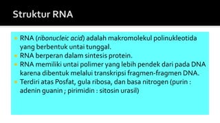 BIOLOGI_M4KB2 | PPT