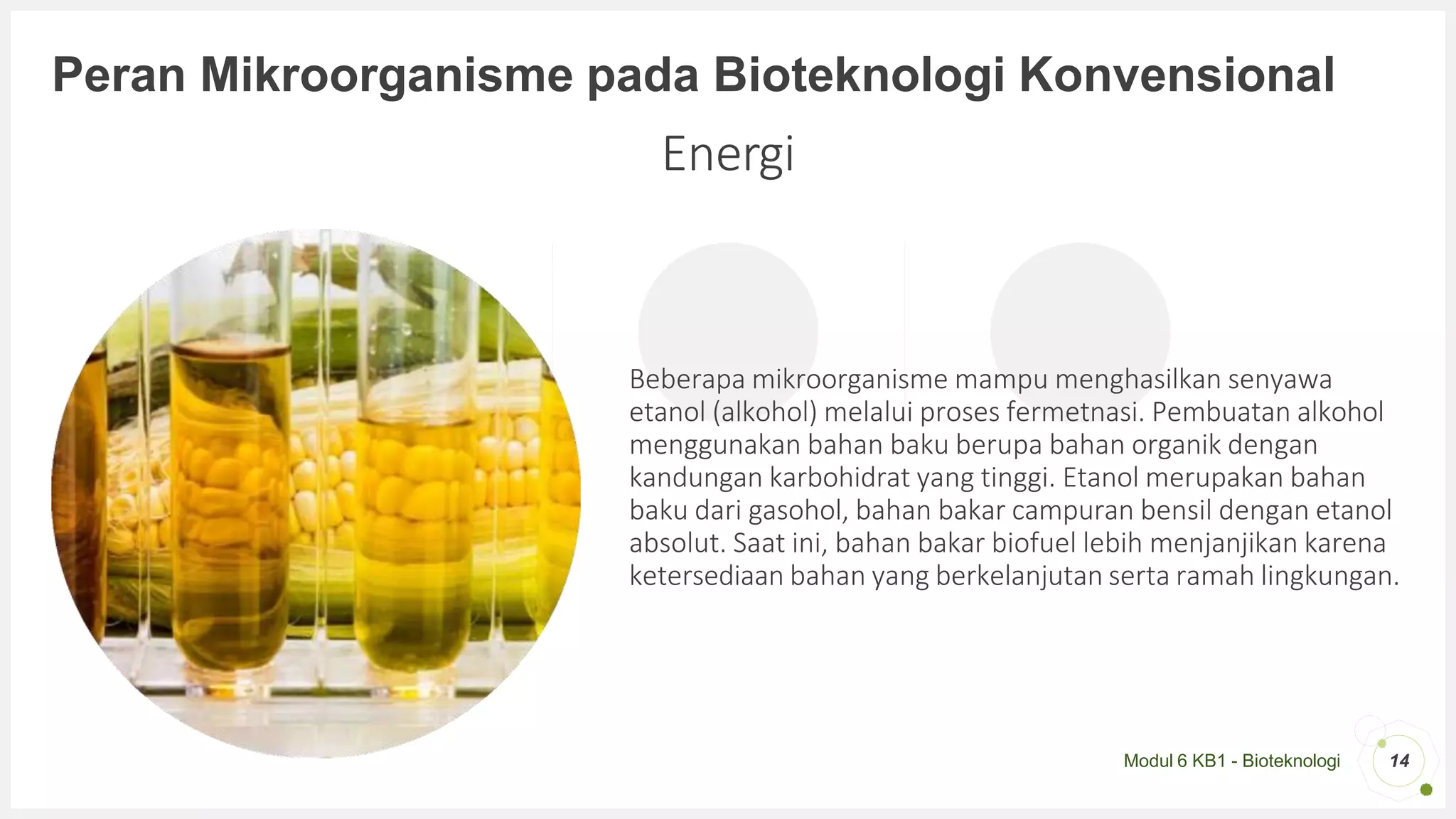 PPT biotek | PPT