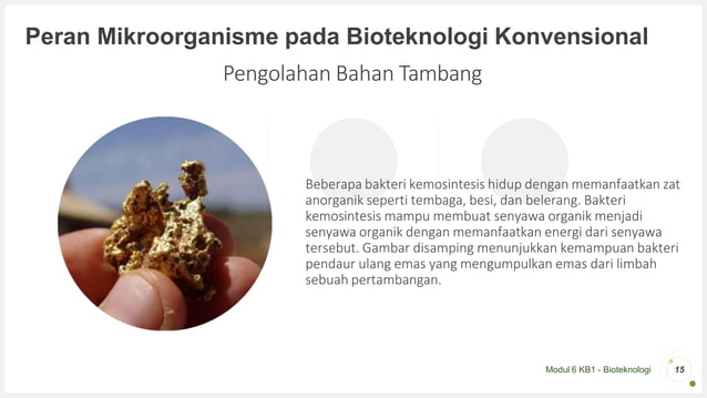 PPT biotek | PPT