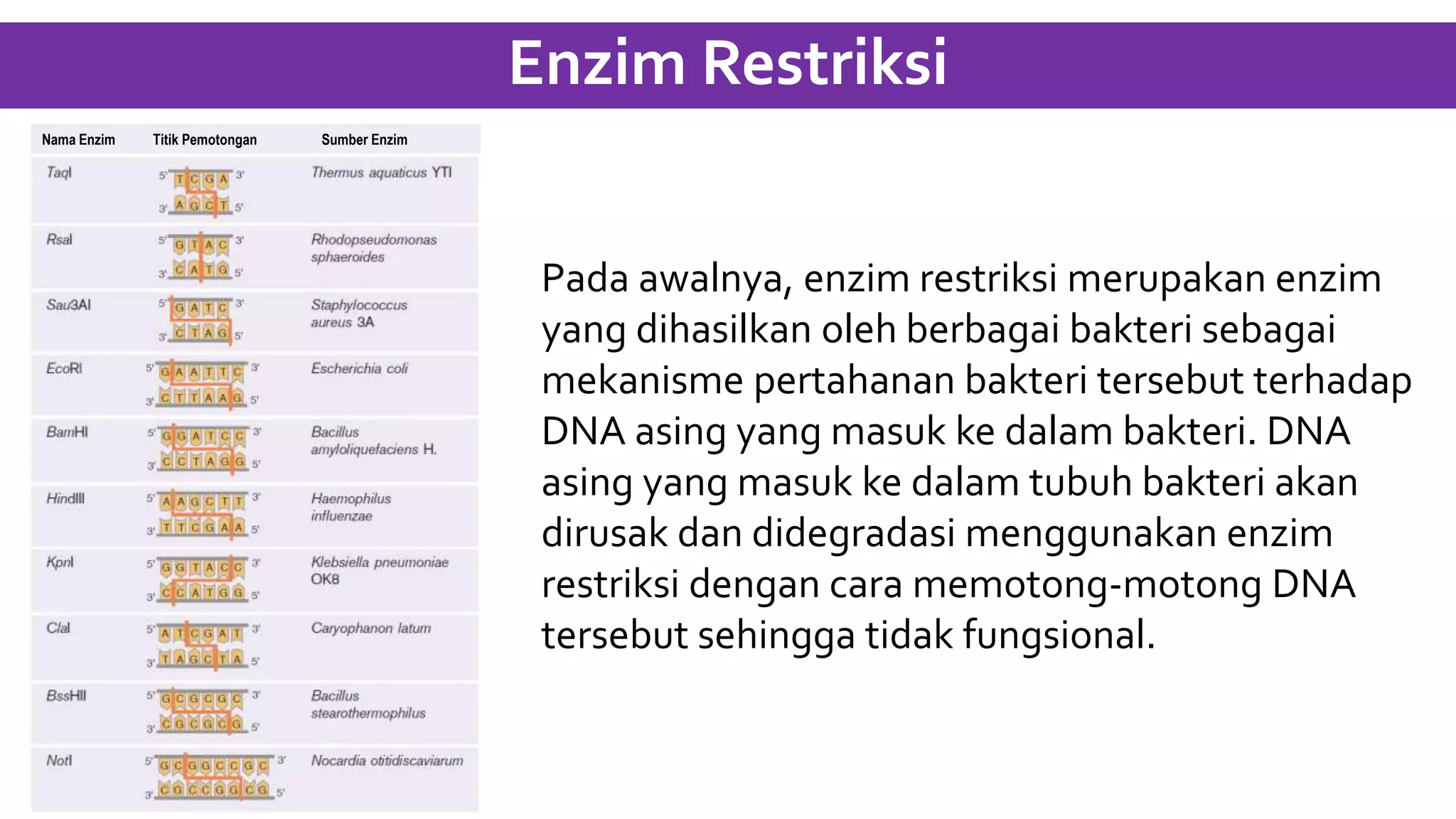 BIOLOGI_M6KB2 PPT | PPTX