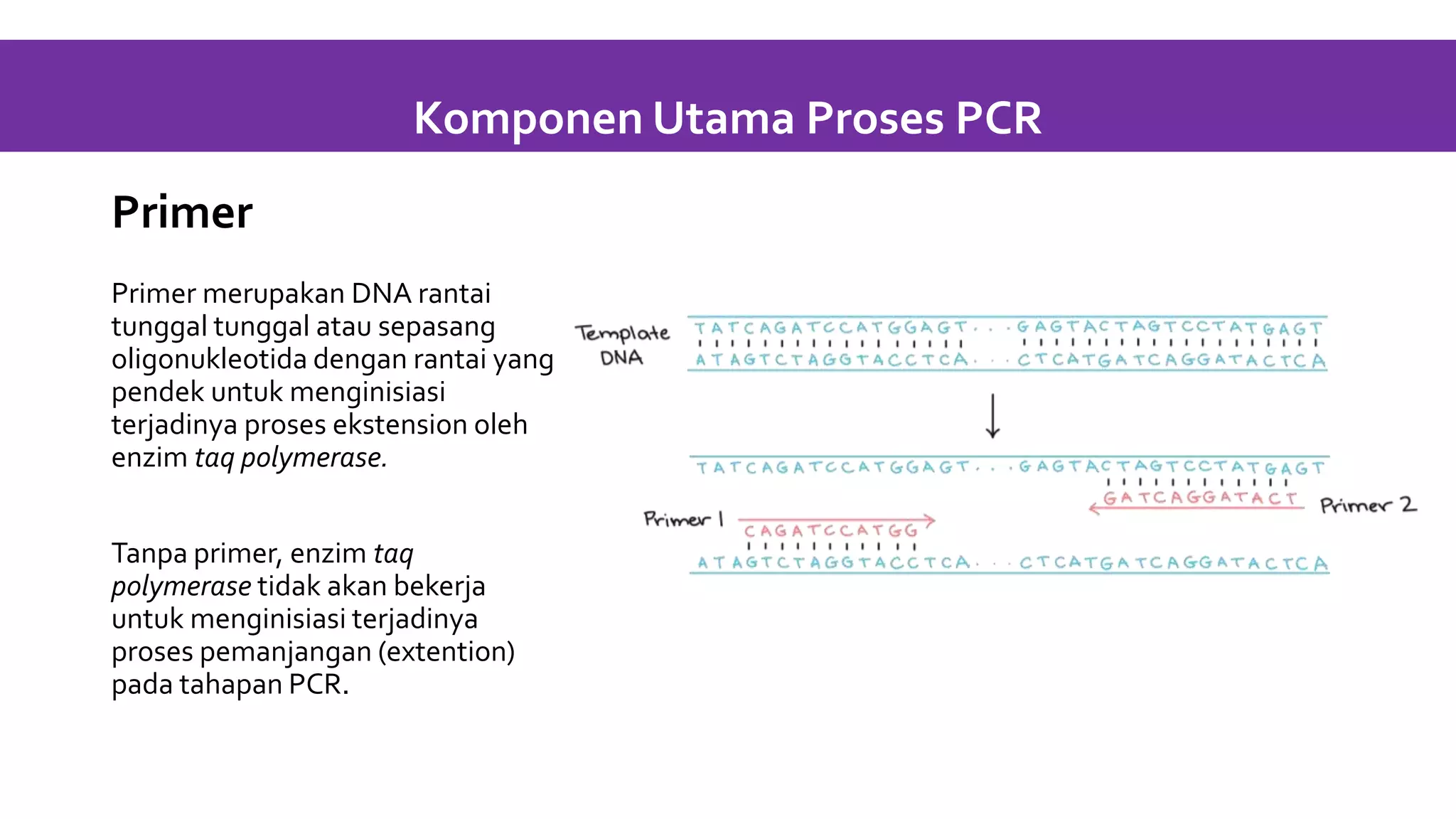 BIOLOGI_M6KB2 PPT | PPTX