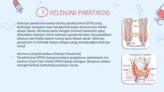 PPT BIOLOGI BARU.pptx