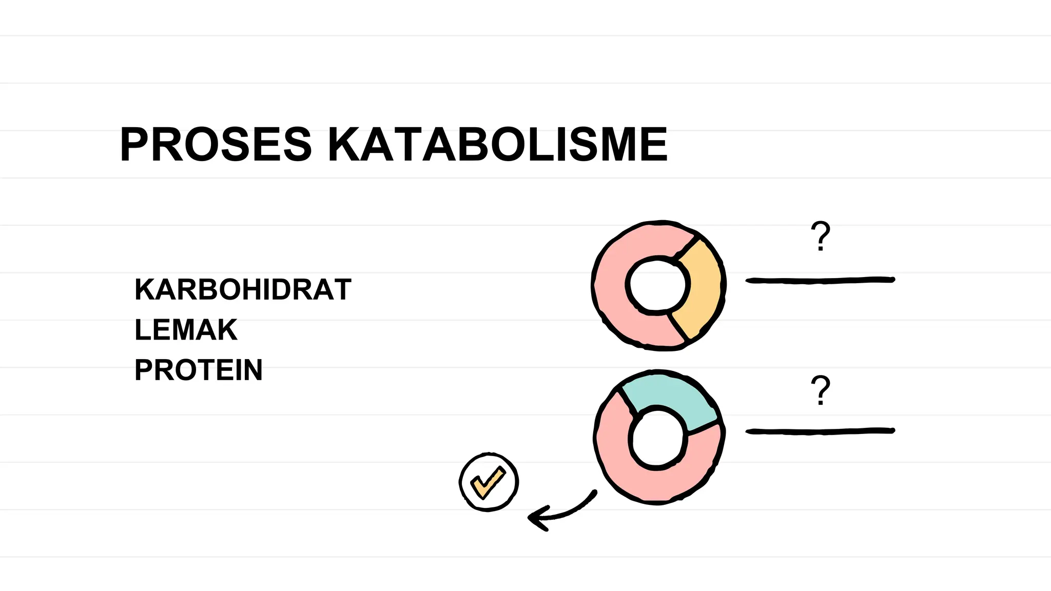ppt biologi katabolisme lemak dan protein pptx | PPTX
