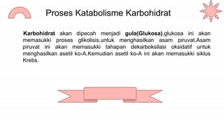 ppt biologi katabolisme lemak dan protein pptx | PPTX