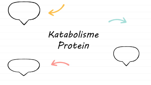 ppt biologi katabolisme lemak dan protein pptx | PPTX