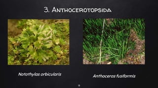 ppt biologi kel 1 kanjud.pptx