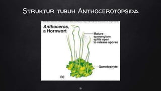 ppt biologi kel 1 kanjud.pptx