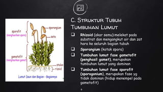 ppt biologi kel 1 kanjud.pptx