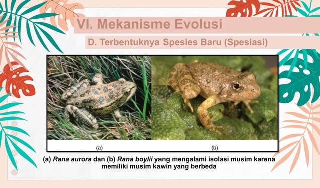 PPT BIOLOGI KELAS XII Materi Mutasi pada Makhluk hidup.pdf